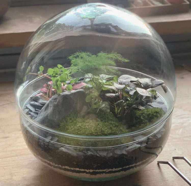 Workshops – Terrapy