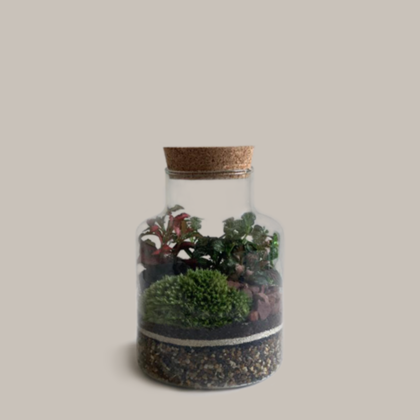 Workshops – Terrapy